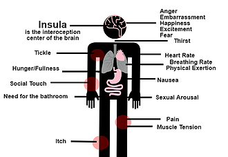 The Autism & Low-Incidence Coaching Team: Regulation Rendezvous ...