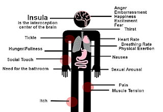 The Autism & Low-Incidence Coaching Team: Regulation Rendezvous ...
