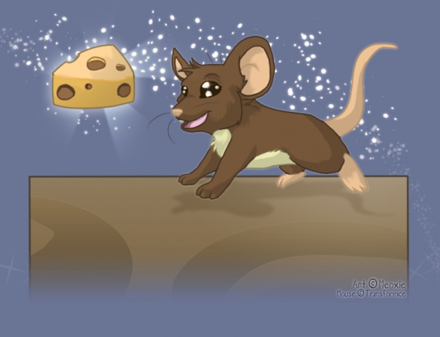 Transformice-City: -Zdjęcia.