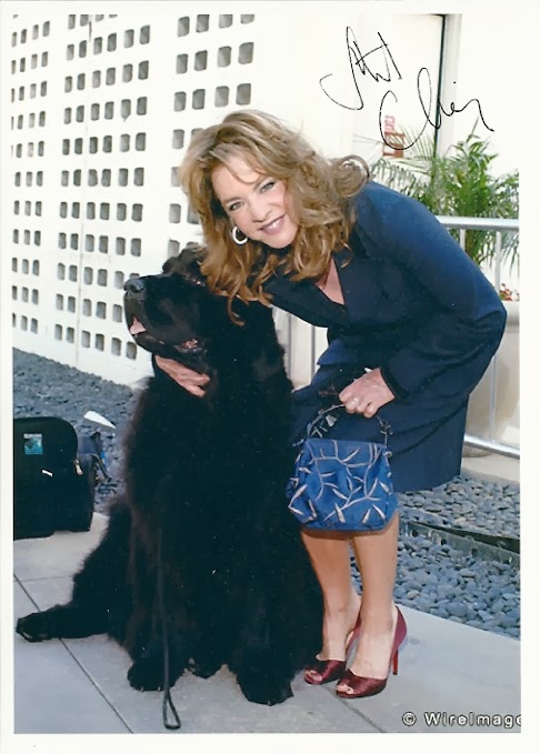 My Celebrity Autographs