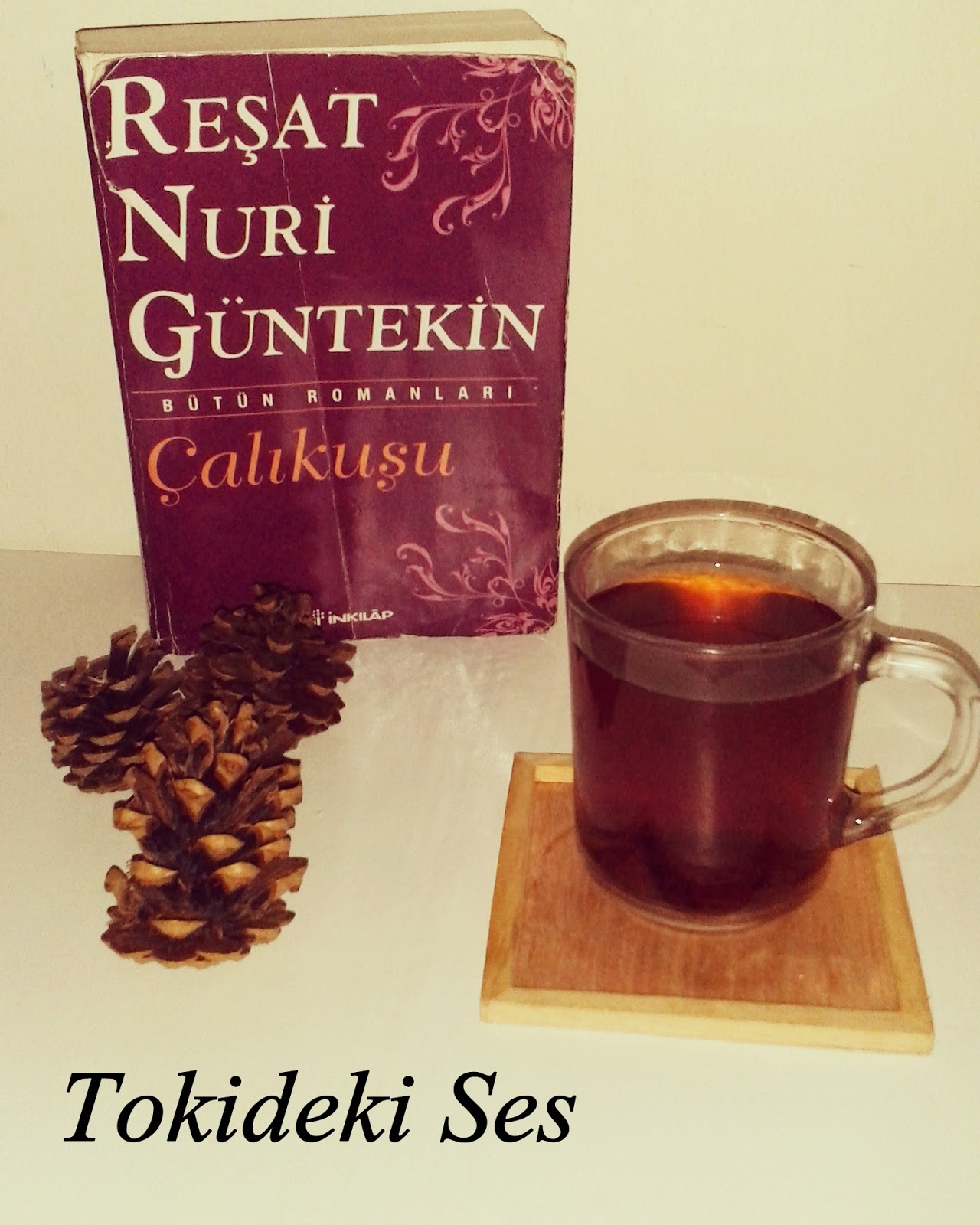 Çalıkuşu Kitap Yorumu - Blogcu Sultan