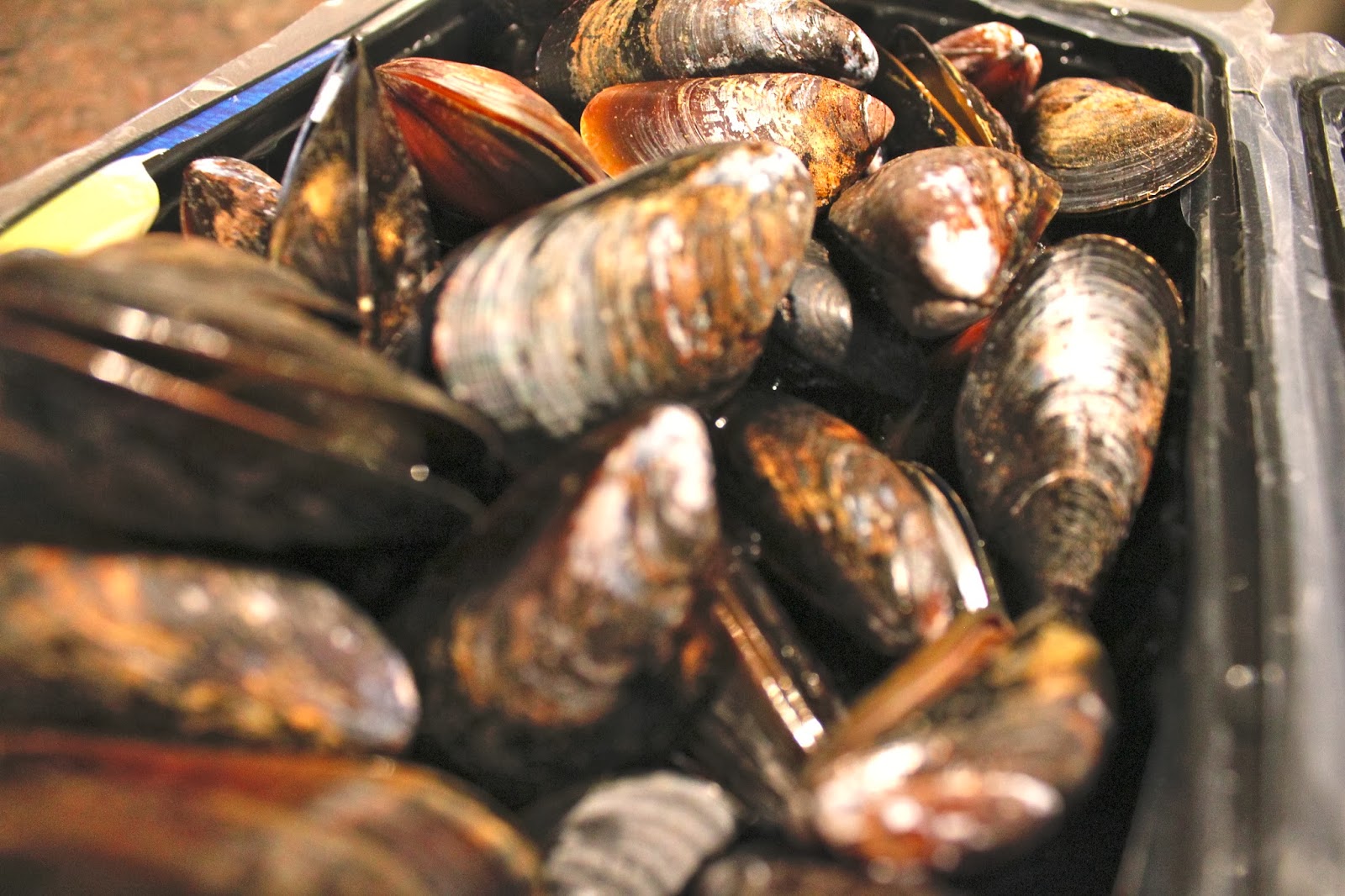 A Little Something to Eat: Recipe: Steamed Mussels in White Wine