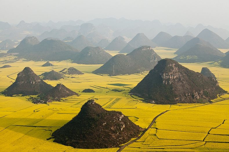 Canola Flower Fields, China | 20 Unbelievably beautiful places.