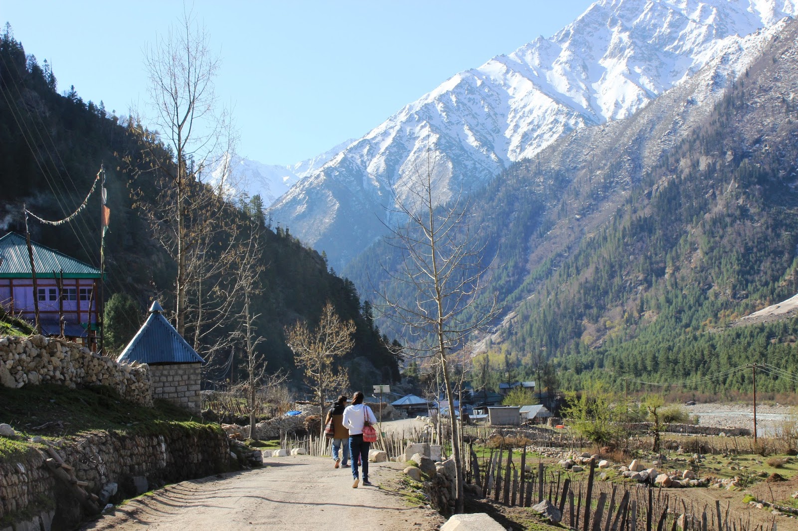 Vibrant India: Rakcham .Why we preferred it to Sangla (Kinnaur)