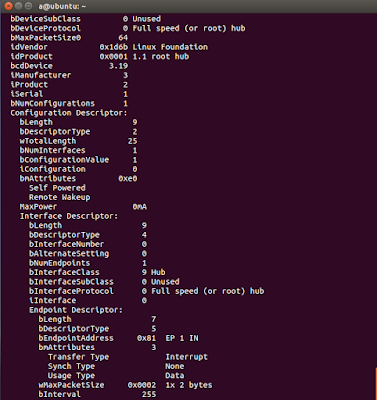 RenWei's 部落格: [Linux] libudev抓取裝置描述