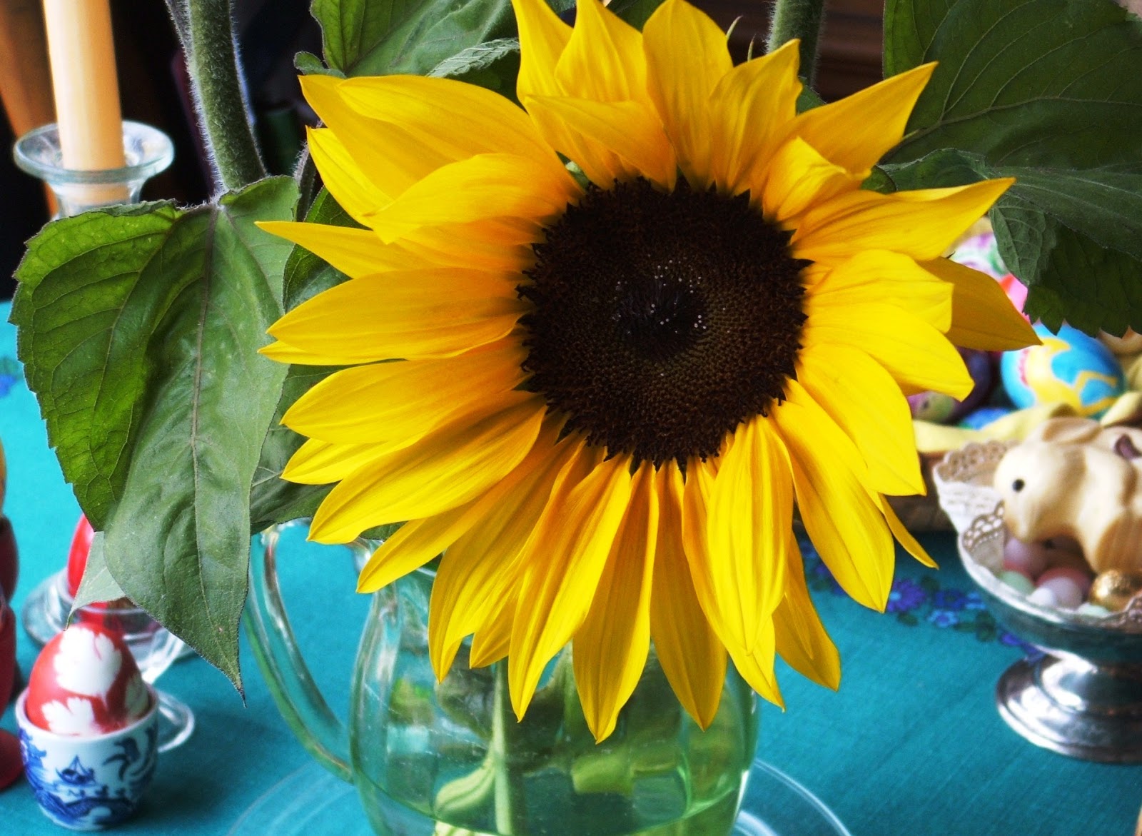 Southerly posts: Sunflower Easter Sunday