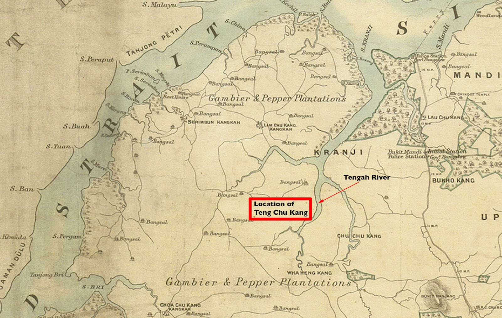 Princess Elizabeth Estate, Hillview: The origin of Tengah