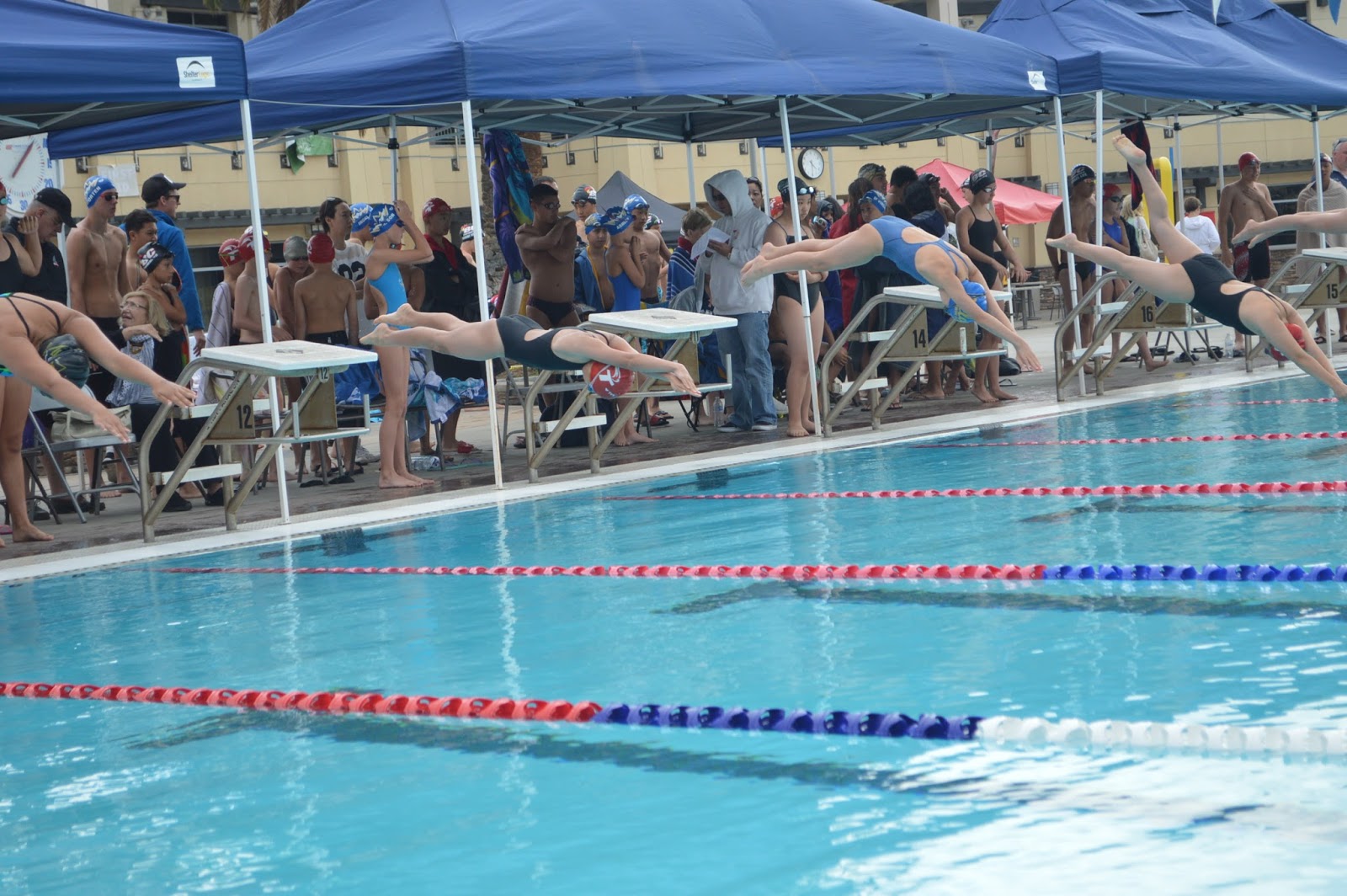 Miyu's Life: Swim Meet #6 San Fernando Regional Pool! サンファーナンドプール大会★
