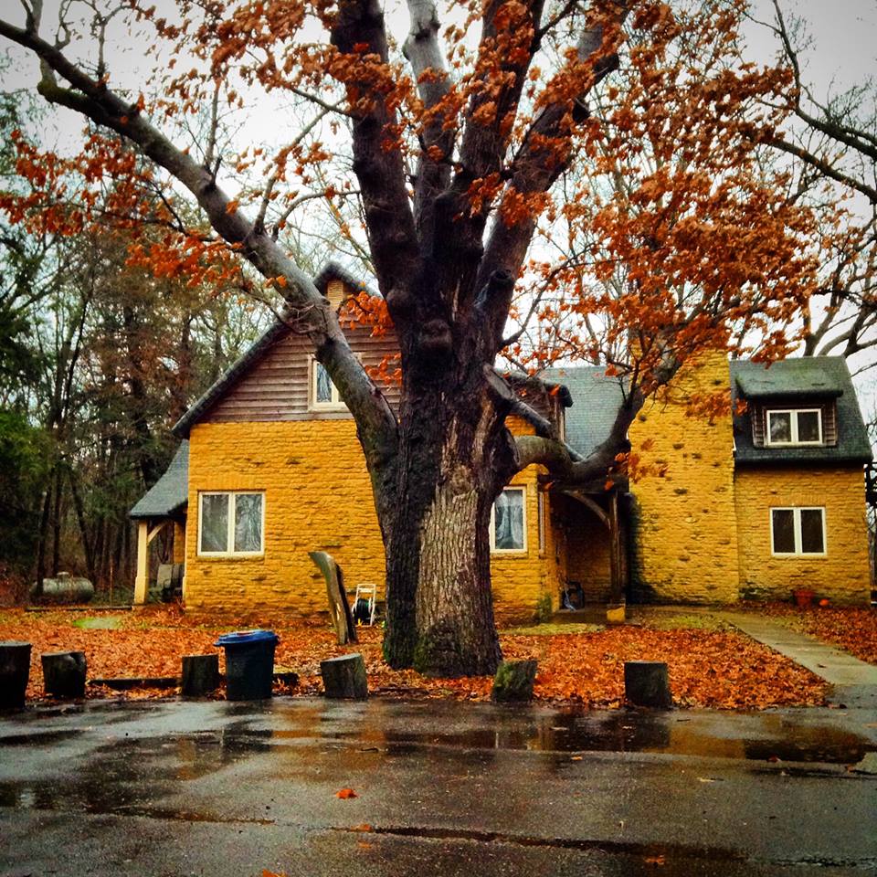 Le dicen poesía: Nota sobre la muerte de April Derleth (1954-2011)