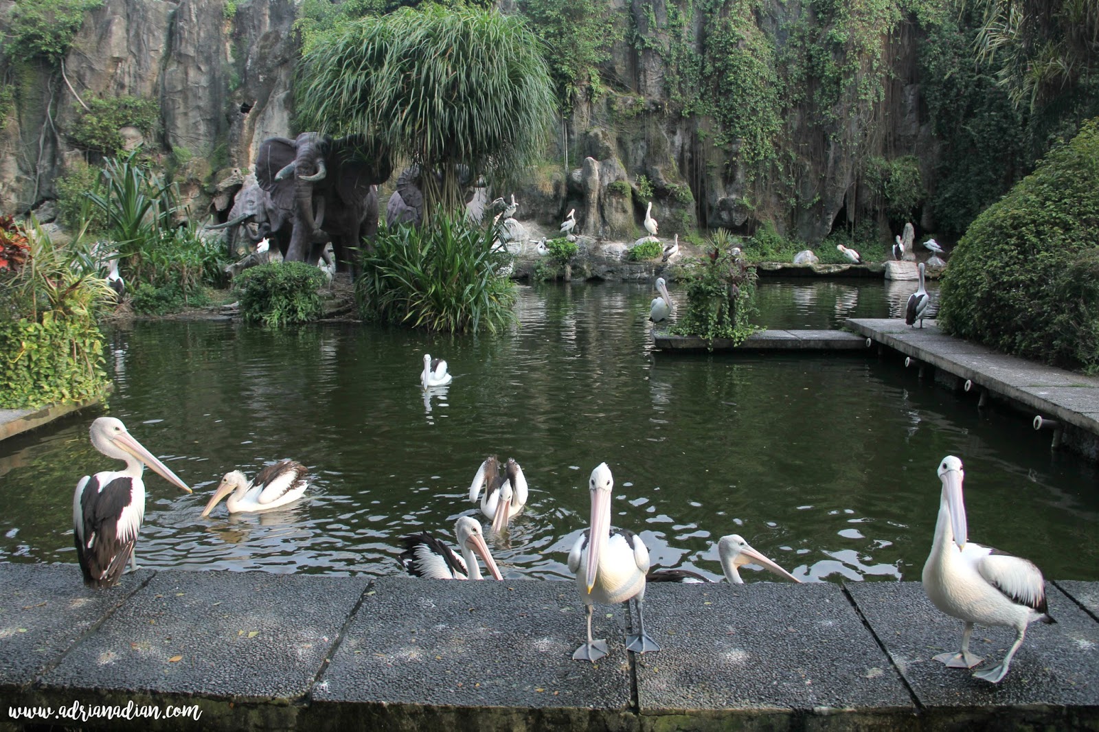 Ada Apa di Kebun Binatang Ragunan, Kini?