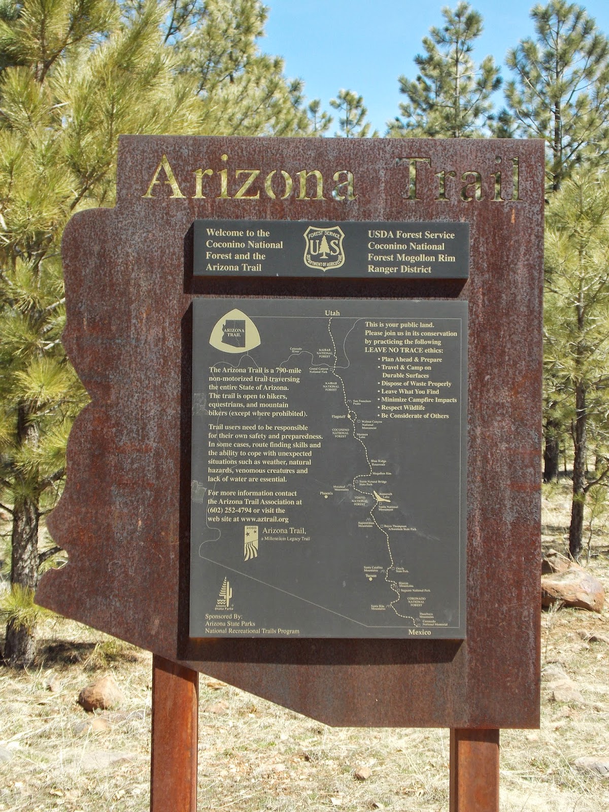 Camping at Knoll Lake, Mogollon Rim - Floradise