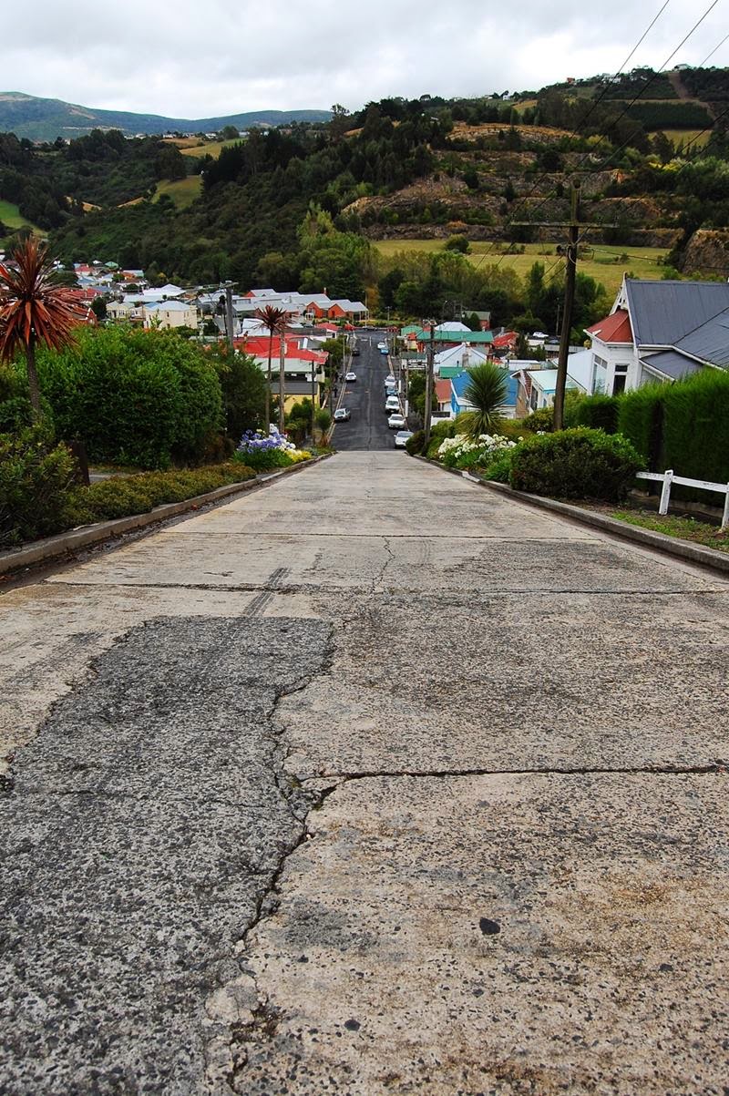 Steepest street in world | Baldwin street in New Zealand