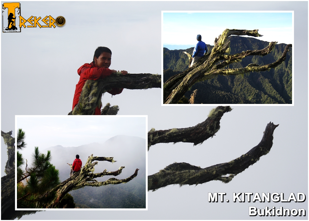 TREKERO: THE JOY OF BEING ON TOP