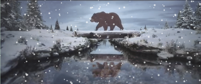 LA CIENCIA DE LA VIDA: El oso y la liebre, un cuento de navidad