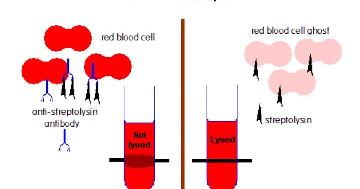 Vivekanantha Homeo Clinic & Psychological Counseling Centre, Chennai ...