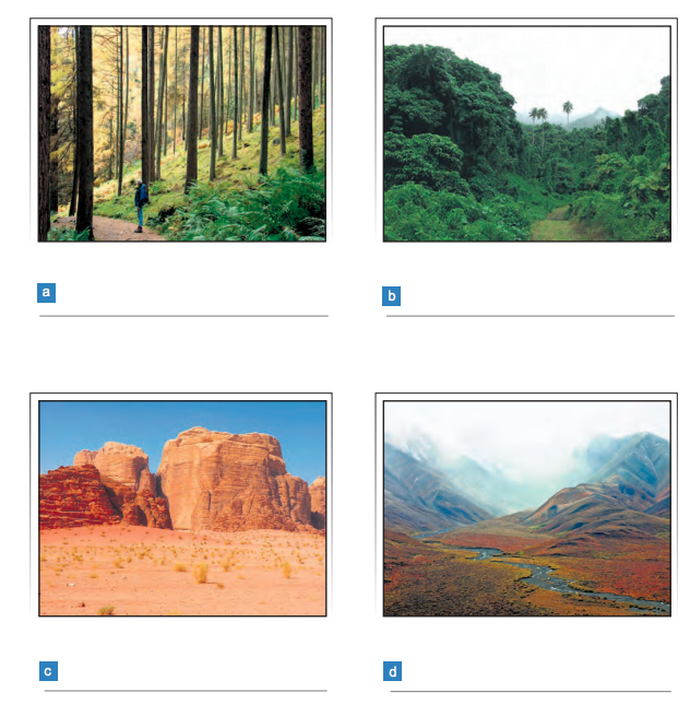 Donika Asllani: Geografi prov