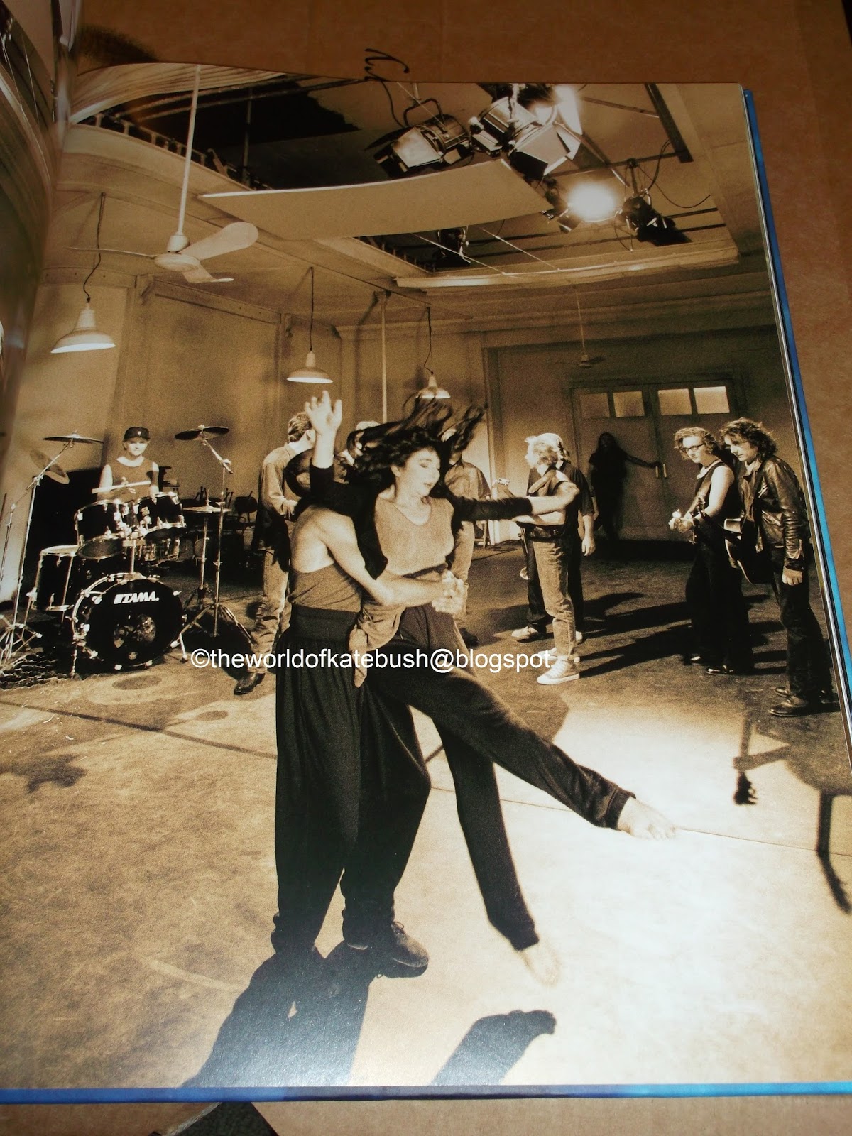 THE WORLD OF KATE BUSH: The Kate Inside: Collector Edition Book by ...