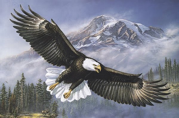 White Wolf : James Meger - Wildlife artist who paints with hidden ...