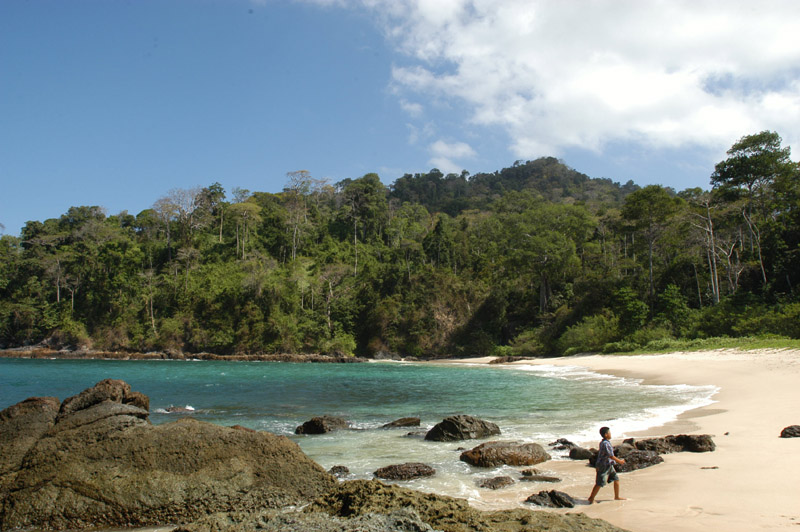 MERU BETIRI NATIONAL PARK, East Java Tourism
