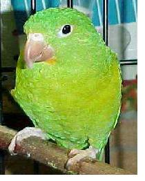 LABORATORIO DE MATEMÁTICA: 07_11