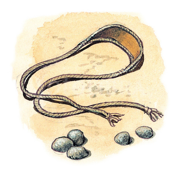 Take in all the colors