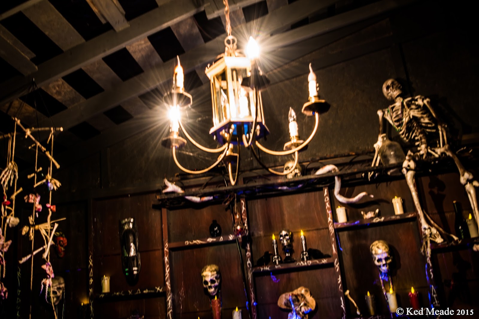 Something wicKED this way comes....: Taking a Wicked Walk Through The ...