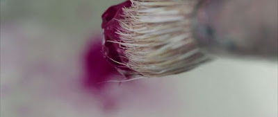 VIRTUAL ILLUSION: 01.2016