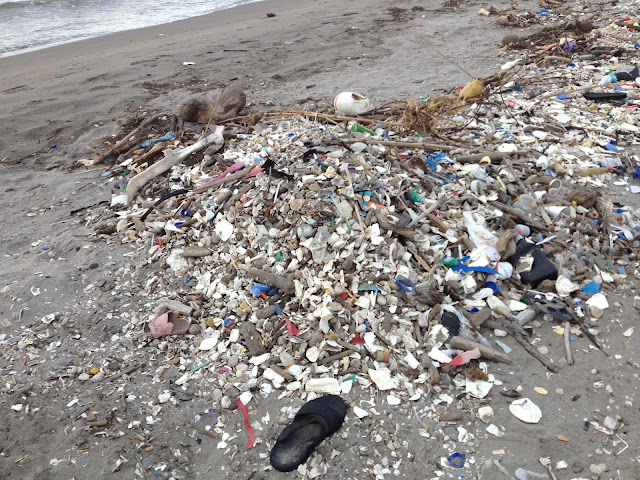 NH Marine Debris: Is this what you want all of our beaches to look like?