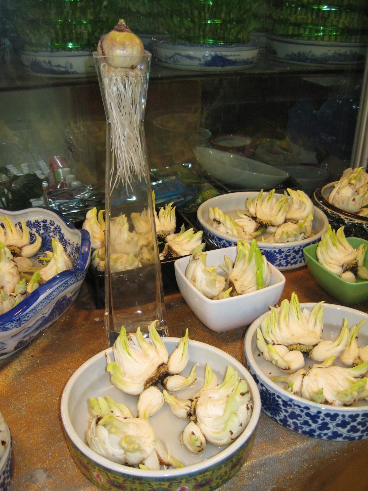 Jax Stumpes: Huangpu River Tour (11/25/2011)