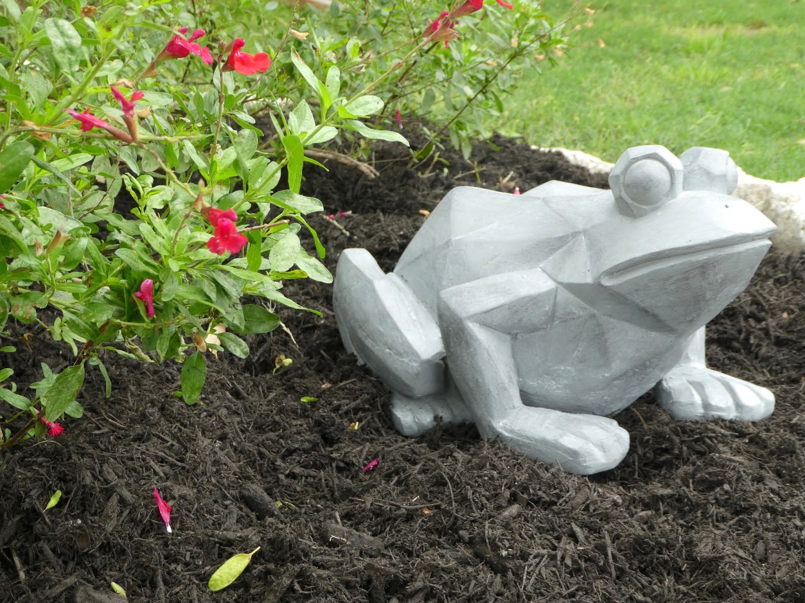 5 Ways To Beautify Your Yard | Jesse Coulter