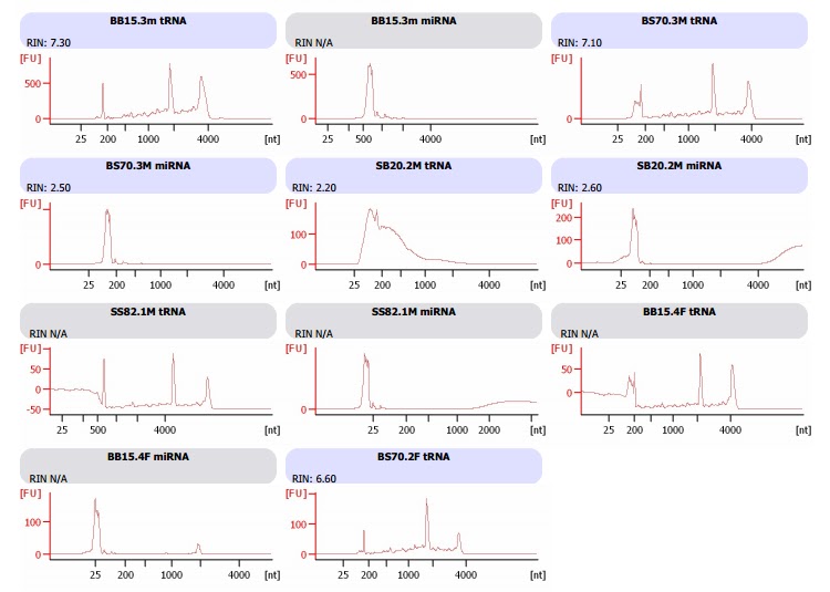 Phodopic Science: RNA extractions and bioanalyzer results
