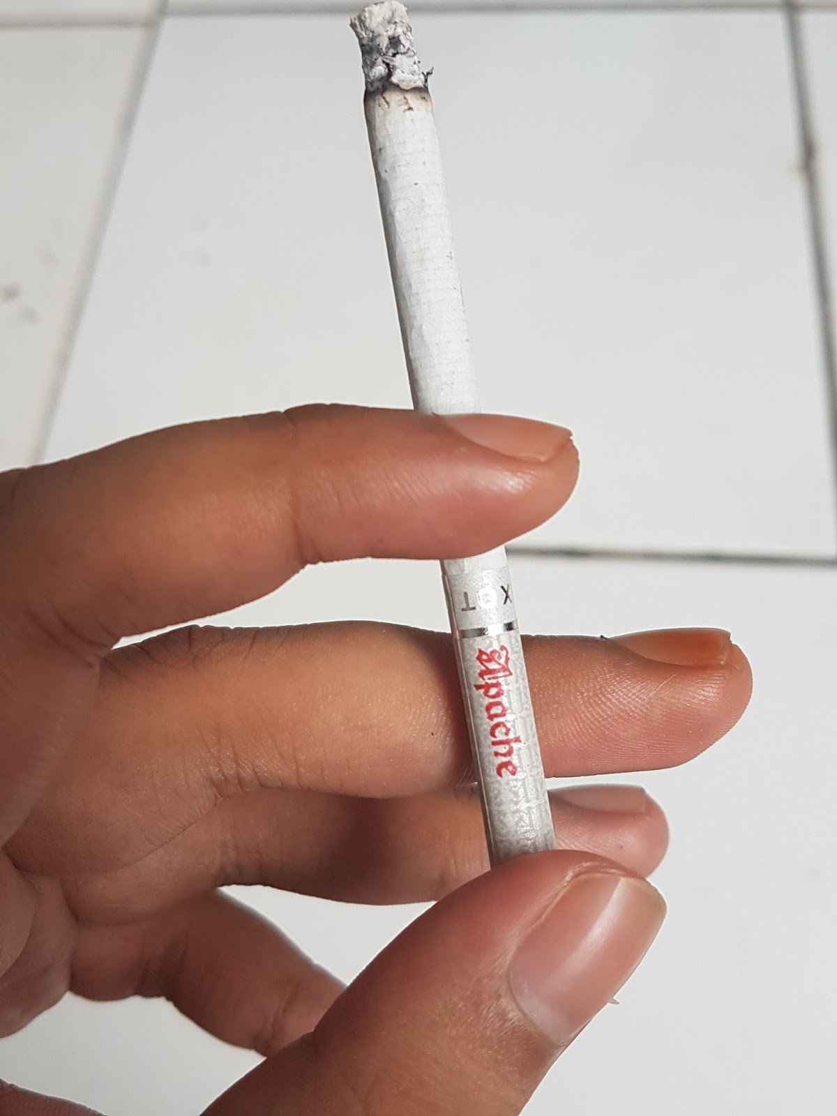 Apache Exotic, SKM LTLN Dengan Keunggulan Batang Exoslim