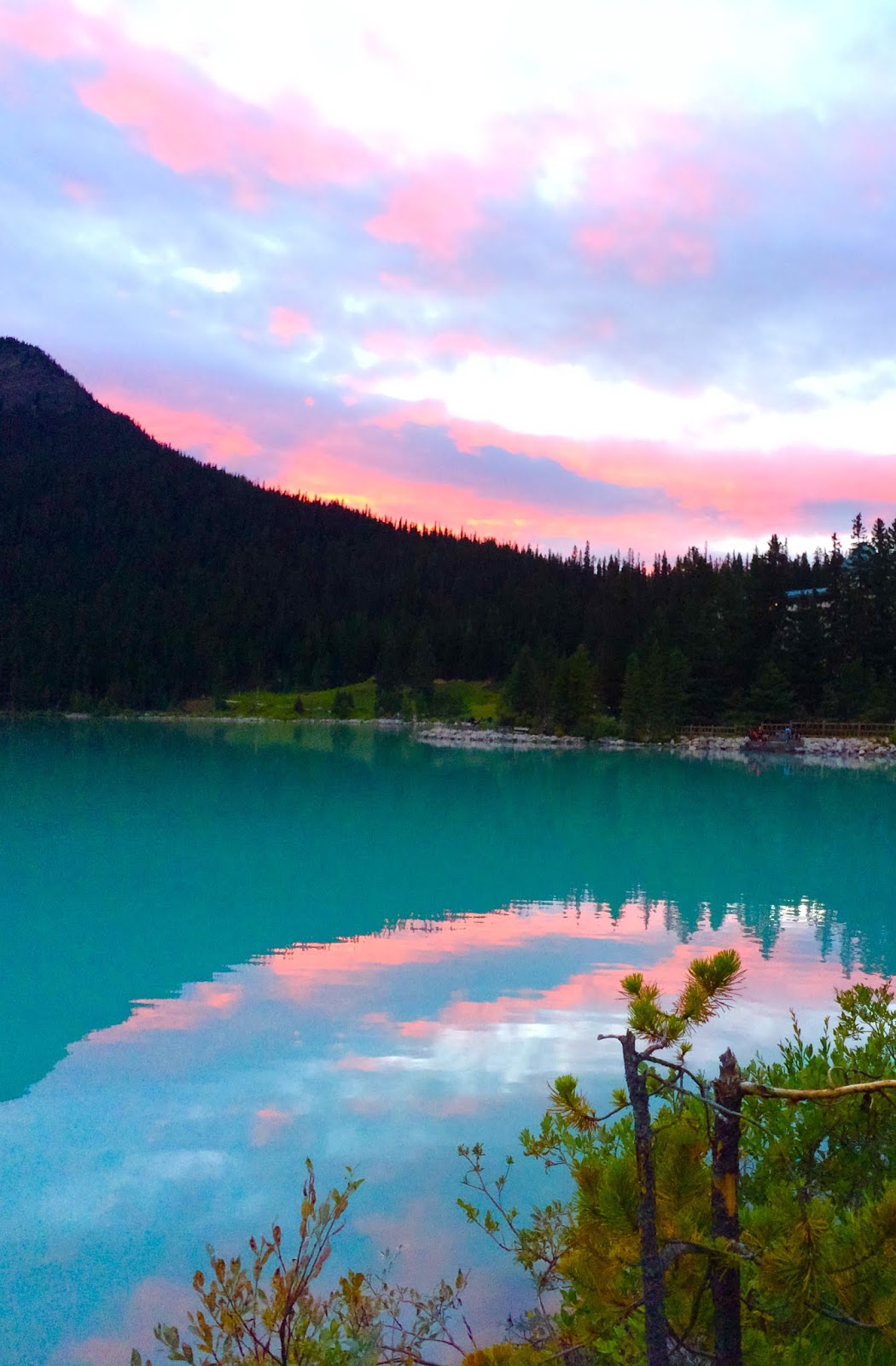 The Helpful Art Teacher: Photography 101: types of camera shots