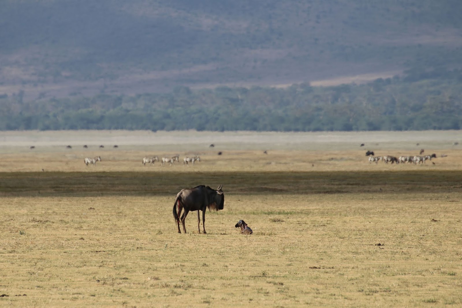 Ele ja Kalle reisil: Paradiisis käidud