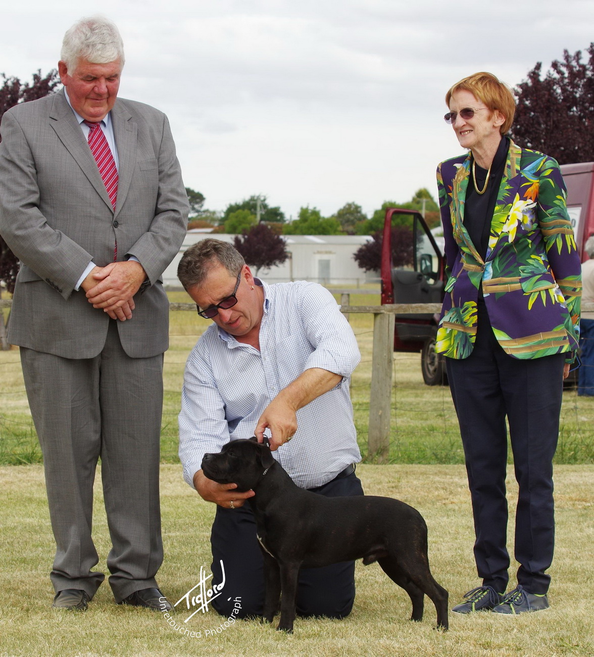 TraffordPhotos - Australian Dog Show Photos: THE ROYAL NATIONAL ...