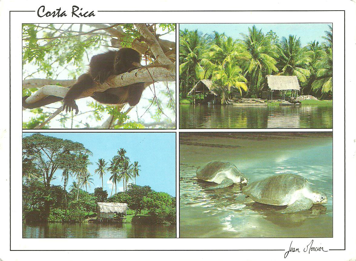 Collecting postcards from all around the world: Tortuguero national ...