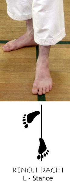 JKA NIKKEY ASSOCIACAO ARAPONGUENSE: Posições - Dachi e Golpes (Tecnicas ...