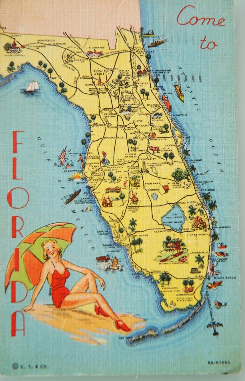Max, Miami and Beyond: Florida Facts