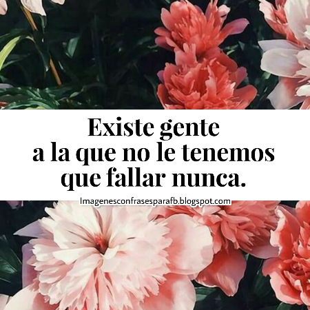 Imagenes Bonitas y Pensamientos Positivos: Frases para Pinterest
