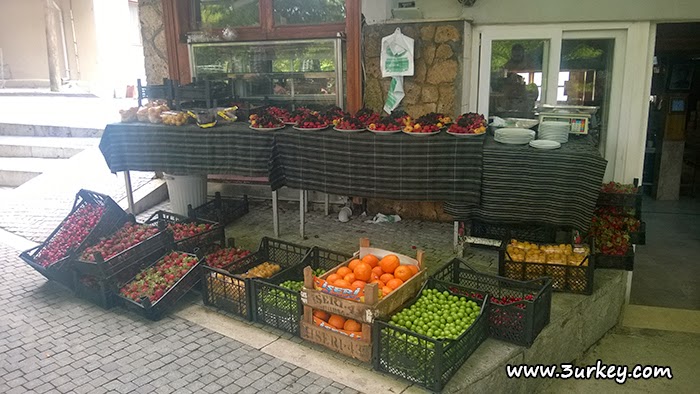 الشجرة التاريخية في بورصة تركيا - دليل رحلتك ع تركيا