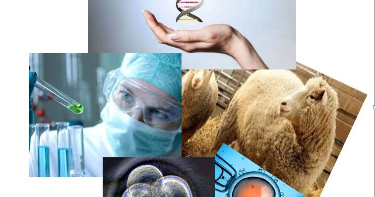 LA CLONACION..: ¿QUE SON LAS CLONACIONES?