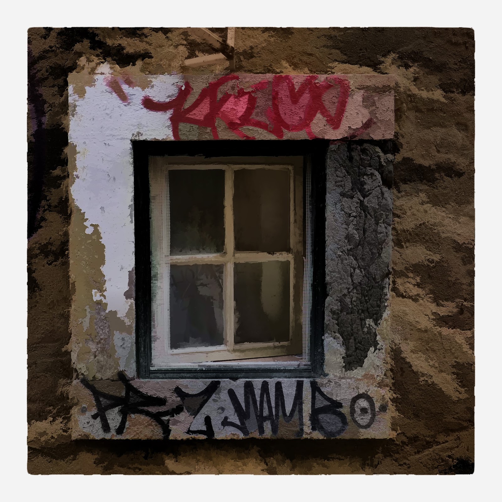 A Picture A Day Mambo Window a-picture-a-day-mambo-window