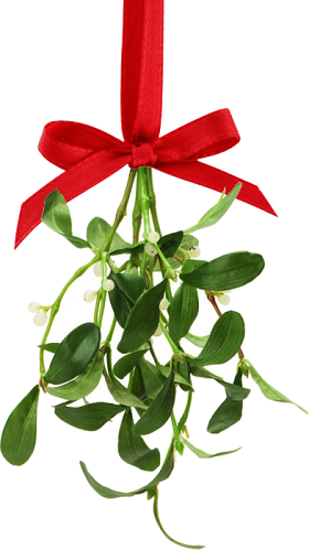 English is fun!: The Tradition of Mistletoe at Christmas