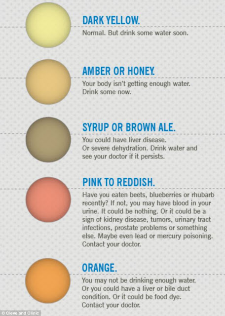 5 Warning Signs About Your Health - From The Colour Of Your Urine: 5 ...