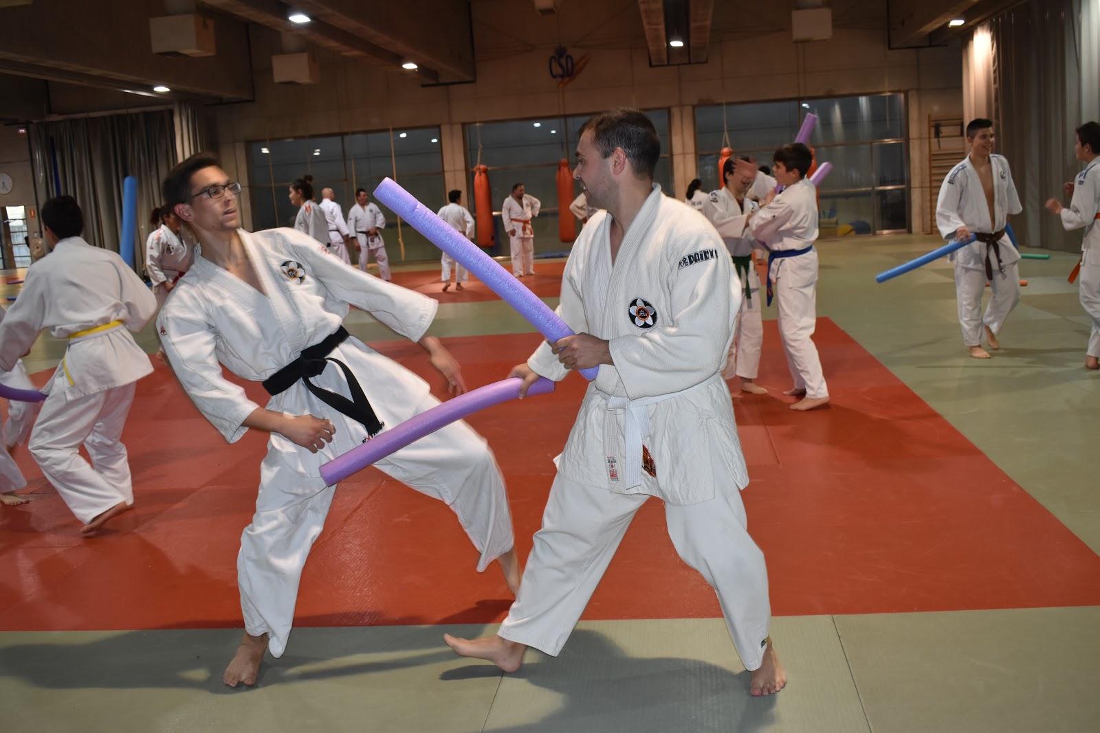 空手道 BUDO TOLEDO 柔術: CURSO TÉCNICO DE ATEMI WAZA DE JIU-JITSU