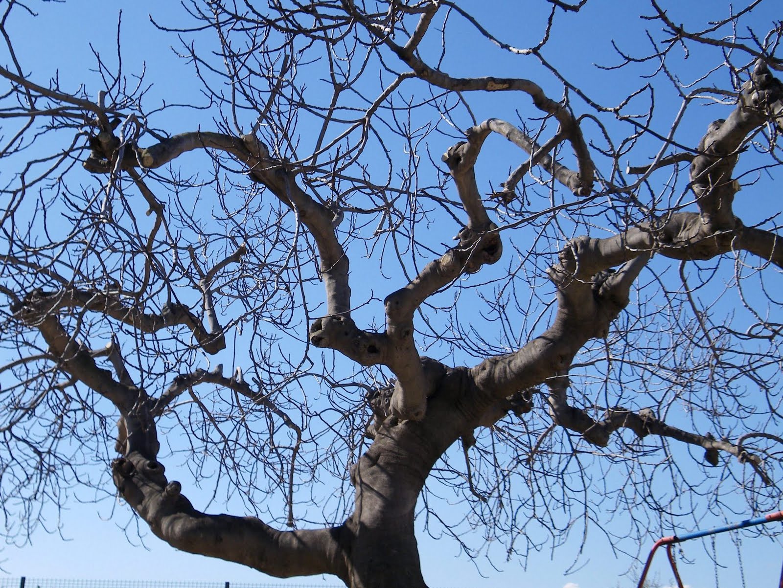 tuentodos: Servir desmoronado...