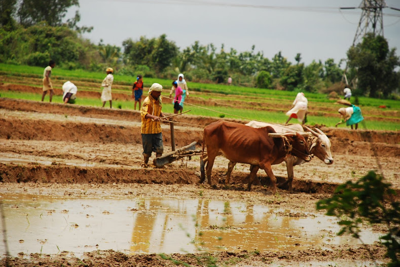 Sangam Tamil Literature in English