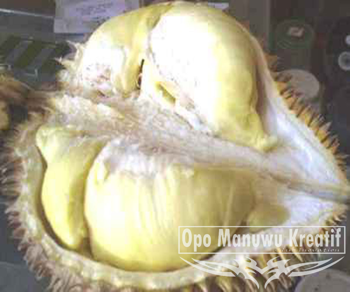 4. 4. Ruyan (Durian)