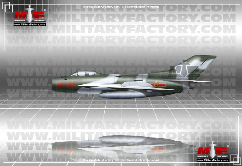 FlySim&Real: maggio 2017