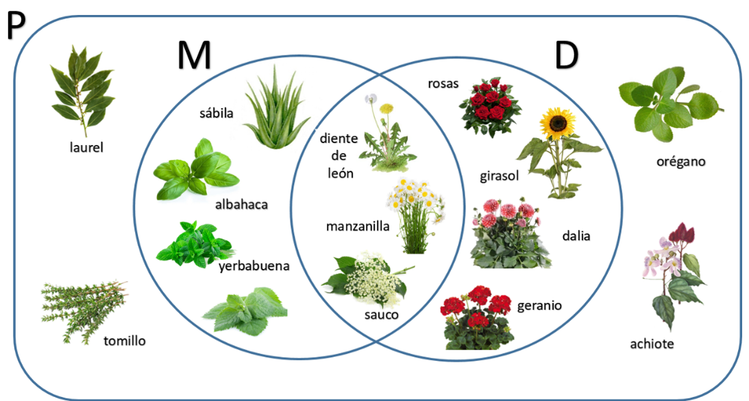 Alfredth Molder Calla Bernnall: Conjuntos - Grado 3
